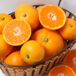 [유명산지] 제주직송 조생 타이벡 감귤 2.5kg 소과(2S-S) - SSG.COM