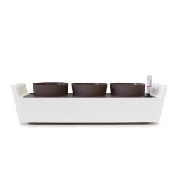 그린플러스N 저면관수 사무실 파티션 화분 - SSG.COM