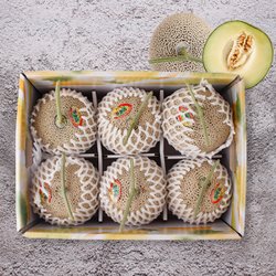 머스크 멜론 6수 7kg 내외 - SSG.COM