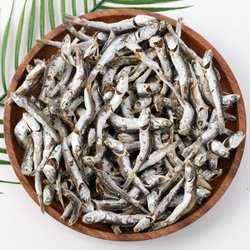 백송식품 다시멸치 1.5Kg - SSG.COM