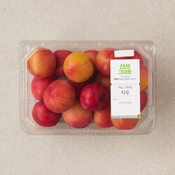 대석자두 1kg 팩 - SSG.COM