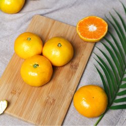 제주감귤 (2S) 5kg 박스무게포함 - SSG.COM