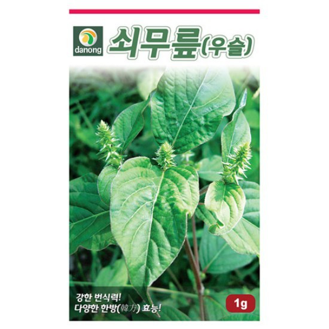 쇠무릎씨앗우슬초씨앗 1g ZI, 믿고 사는 즐거움 SSG.COM