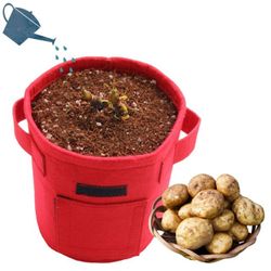 감자 키우기세트 새싹 재배기 어린이 재배 체험 3EA - SSG.COM