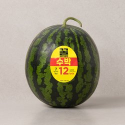 꿀처럼 달콤한 수박 6~7kg미만 - SSG.COM
