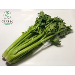 [CHAESO STORY] 셀러리(봉) - SSG.COM