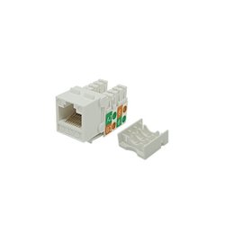 대원TMT DW-KT6N CAT.6 UTP 키스톤잭 - SSG.COM