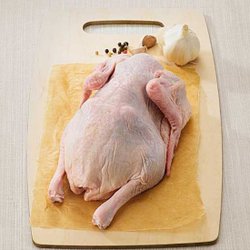 [다향] 국내산 냉동 통 오리(1.5kg) - SSG.COM