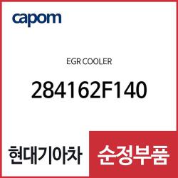 EGR 쿨러 (284162F140) 올뉴 카니발, 맥스크루즈, 싼타페 더 스타일, 올뉴 투싼TL, 더 SUV 스포티지, 싼타페 ...