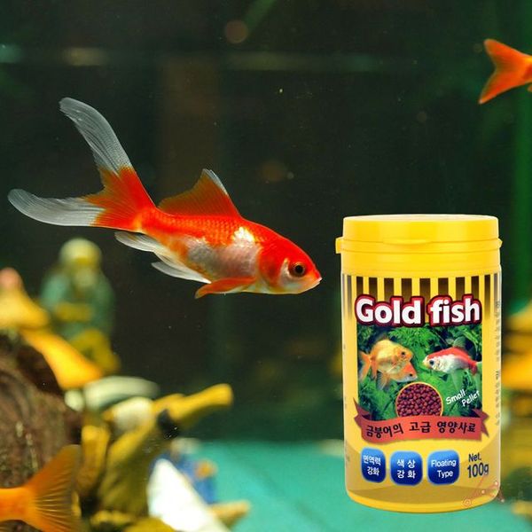 피쉬 통 100g 골드 - SSG.COM