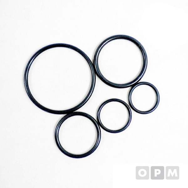 바이톤 오링 G계열 G-175/174.3 x 5.7 - SSG.COM