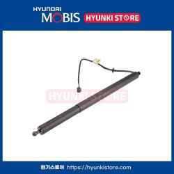 파워 테일 게이트 우측 (81780D3100) 현대모비스부품몰 - SSG.COM