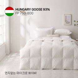 겨울용 헝가리 구스 마이크로 이불솜(솜털93%) - 퀸1000g - SSG.COM