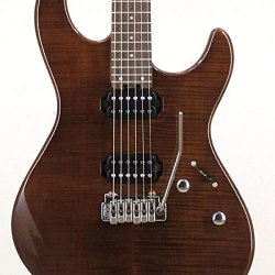 FERNANDES 페르난데스 NTG-LTD WN 일렉트릭 기타 - SSG.COM