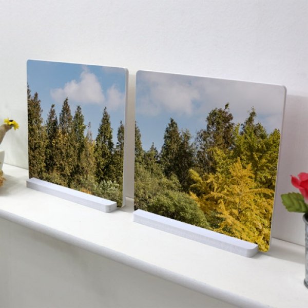 스탠드액자2P 더포레스트 - SSG.COM