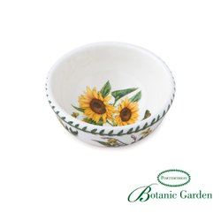 공기(C,D) 12cm 1p(BG) - SSG.COM