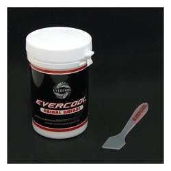 (EVERCOOL) TC-200 200g - SSG.COM
