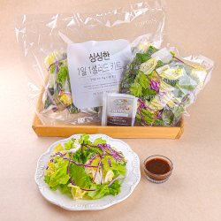 싱싱한 1일 1샐러드키트 400g (80g*5, 소스 증정) - SSG.COM