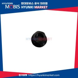 플랜지 너트셀프 락킹 (545592E000) - SSG.COM