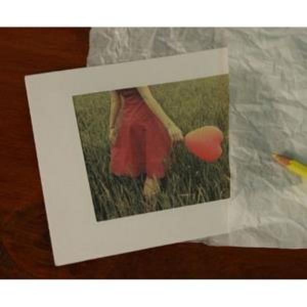 봉투 선물포장봉투 비치미 얇은 비치는 M 9종 5P - SSG.COM