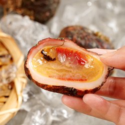 통영 돌멍게 1kg 4-7미x3 - SSG.COM