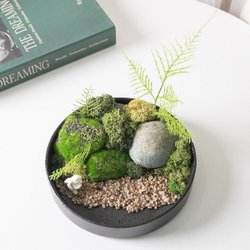 스칸디아모스 미니숲 옹기수반set 20cm P 공기정화-플라워트리 - SSG.COM