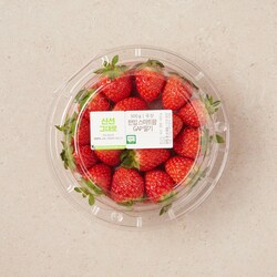 한입 스마트팜 GAP 딸기 (500g) - 이마트몰