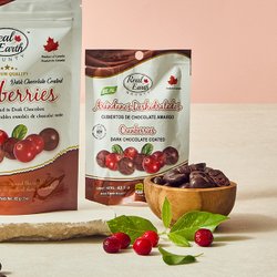 리얼얼스 크랜베리 초콜릿 42.5g - SSG.COM