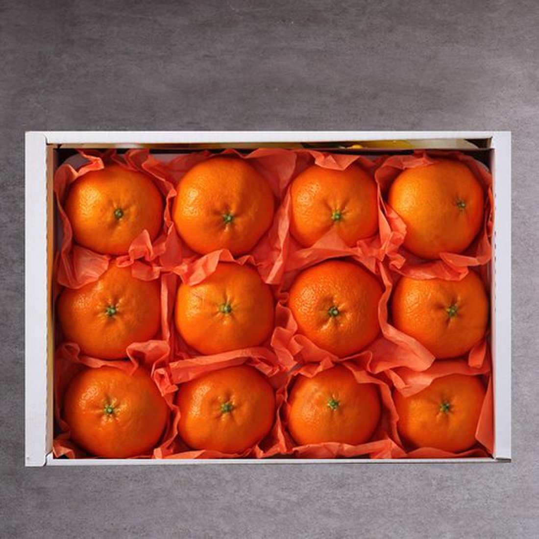 [작심밀도]빛과나무 자연속 빛가득 제주레드향세트 3kg(6-10입/특품), 믿고 사는 즐거움 SSG.COM