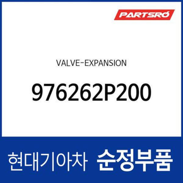 익스팬션 밸브 (에어컨 팽창밸브) (976262P200) 올뉴 투싼TL, 더뉴 투싼TL, 더 SUV 스포티지, 뉴 카니발, 코나 ...
