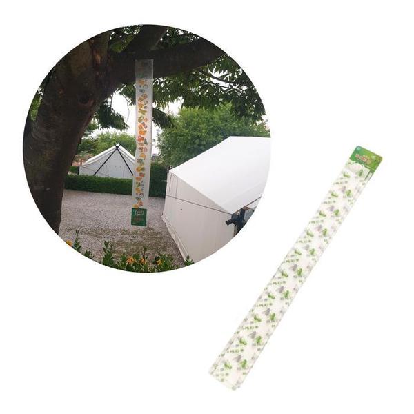 파리 끈끈이 5P (S11114463) - SSG.COM