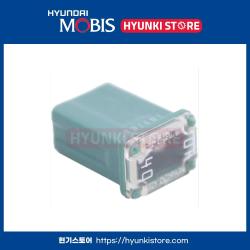 퓨즈 슬로우 블로워 40A (1879004934) 현대모비스부품몰 - SSG.COM