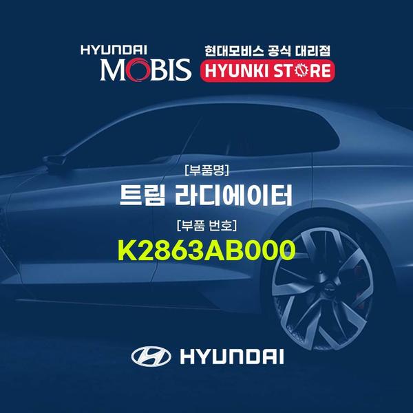 트림 라디에이터 (K2863AB000) - SSG.COM