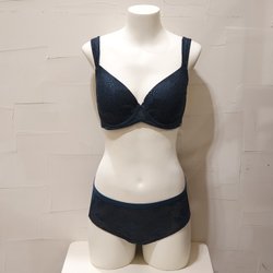 원더브라 풀 컵 원더플러스 빅사이즈 브라+팬티 SET (75D~90C) WBWBR9C24T/WBWPT9C24T-DGR - SSG.COM