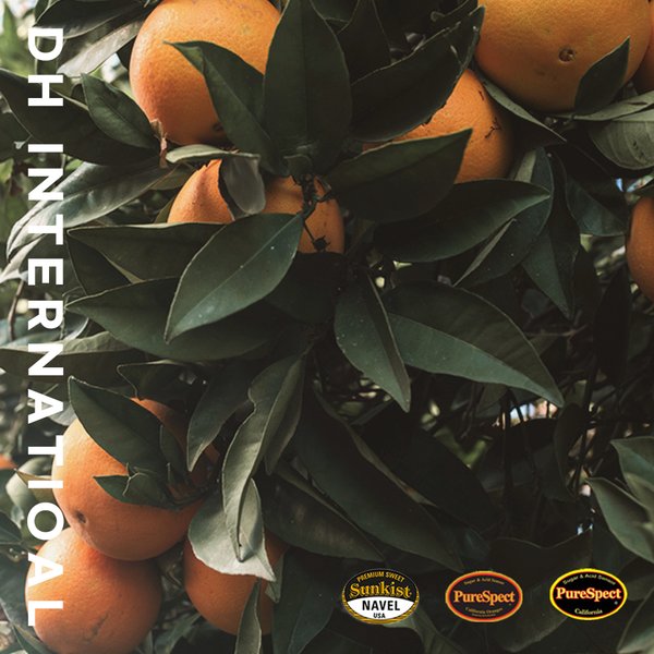 블랙라벨 고당도 오렌지 특대과 56과 17kg 내외 - SSG.COM