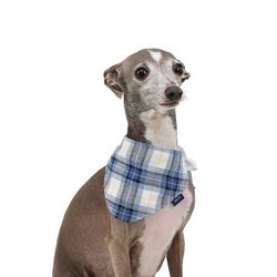 CLASSIC SCARF [BLUE] - SSG.COM