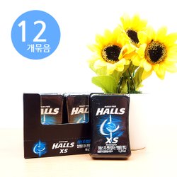 호올스XS 멘토립터스 멘톨향 캔디 15g x12개 - SSG.COM