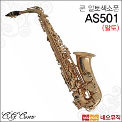 콘 알토 색소폰 Conn AS501 / AS-501 입문자/중급자 - SSG.COM