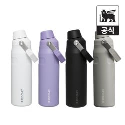 [24년최신상]아이스플로우 에어로라이트 패스트플로우 710ml - SSG.COM