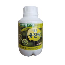 응진싹 250ml - SSG.COM