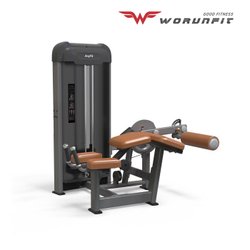 워런핏 웨이트 ANYFIT 애니핏 독일 헬스기구 - 프론 레그 컬 PRONE LEG CURL (PE 203) - SSG.COM