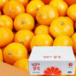 [농협공판장] 정성드린 제주 칠십리 조생 감귤 5kg(M-2S/47-94과내) - SSG.COM