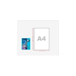 프린텍 AnyLabel 잉크젯용 OHP 필름 V2300 A4 120mic - SSG.COM
