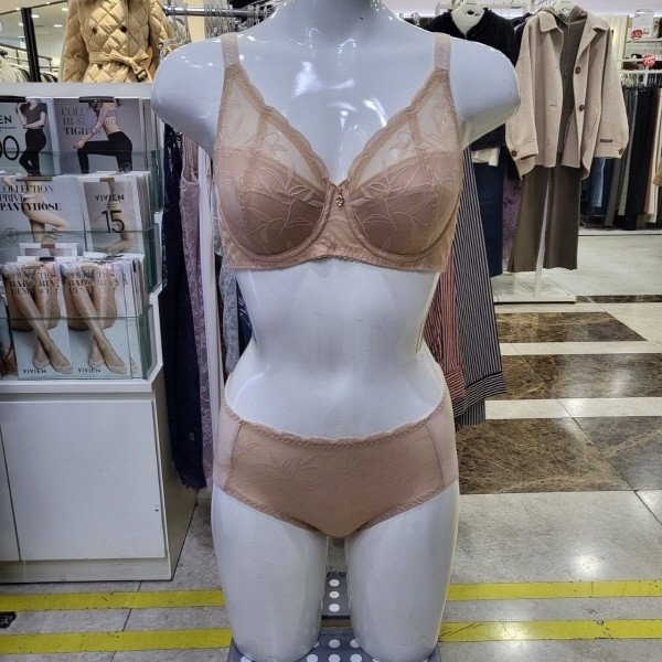 풀컵 보정 D-E컵 브라 팬티 세트 BR3506Q BP3506P LB - SSG.COM