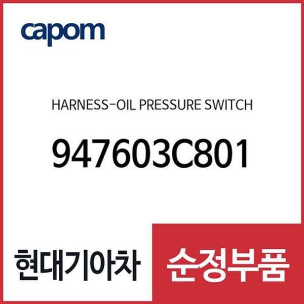 하니스-오일 프레셔 스위치 (947603C801) 제네시스 - SSG.COM