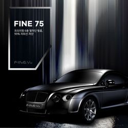 파인뷰 썬팅 FINE 75 (RV, SUV, 대형 / 국산 / 전면 / 시공비용 별도).. - SSG.COM
