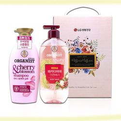 선물세트 오가니 샴푸 바디워시 세트 500+500 - SSG.COM