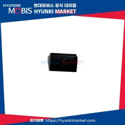 클립도어 오프닝 웨더스트립픽싱 (8213422000) - SSG.COM