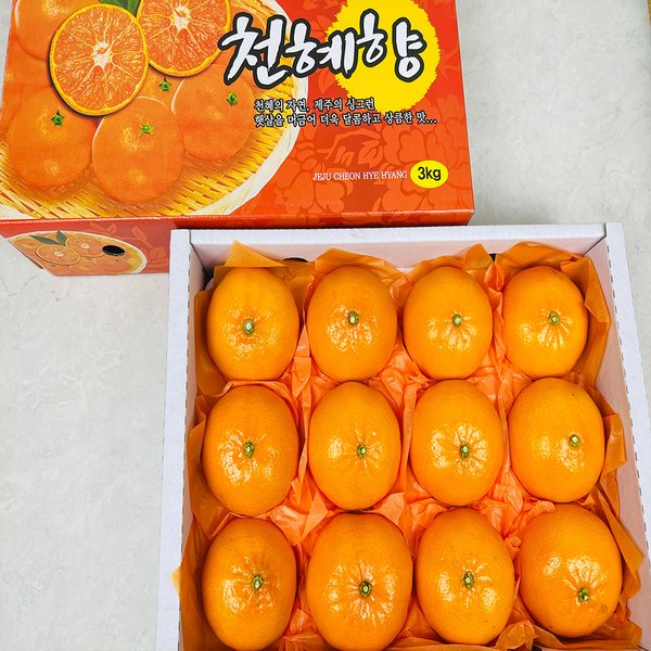 제주특산품 고당도 천혜향 3kg 7-11과 선물세트 - SSG.COM