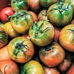 프리미엄 대저토마토 토마토 2.5kg 2S - SSG.COM